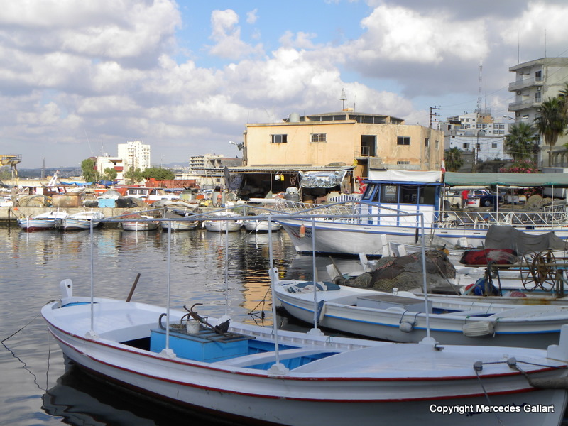 Diario de Viajes : LIBANO: MIRADAS DE ESPERANZA EN TIRO