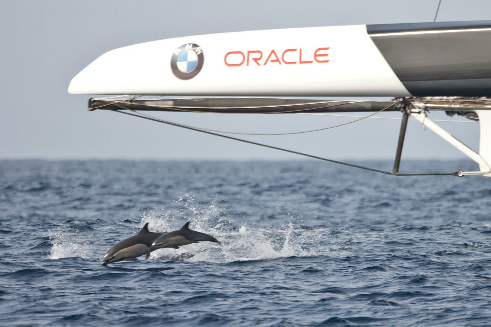 SailRaceWin: America's Cup: Images of BMW ORACLE Racing's Mount by ...