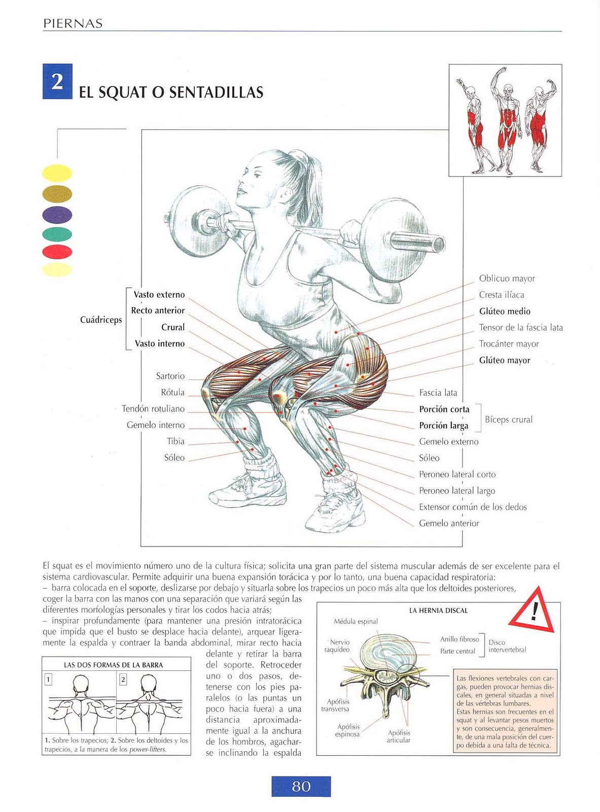 Gym Odyssey: Squat - Sentadilla