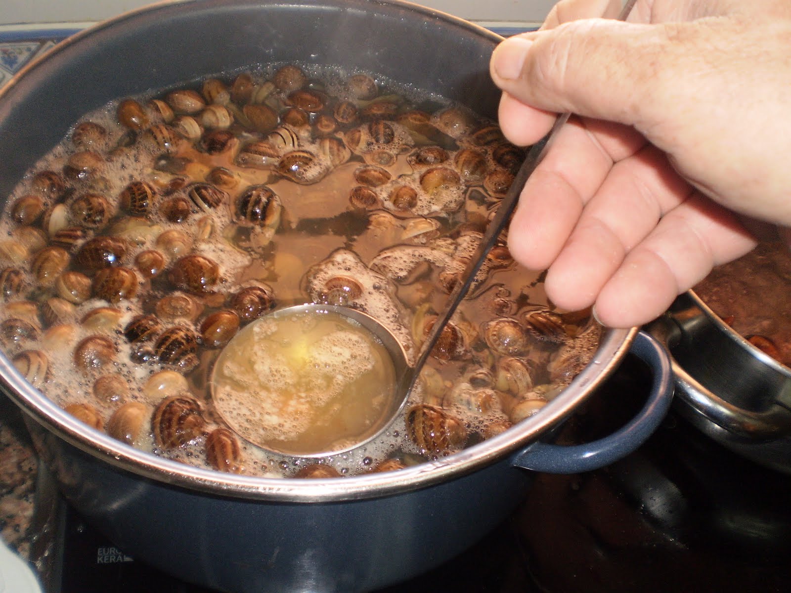 EL Cocinero Rocanrolero: las cabrillas o caracoles