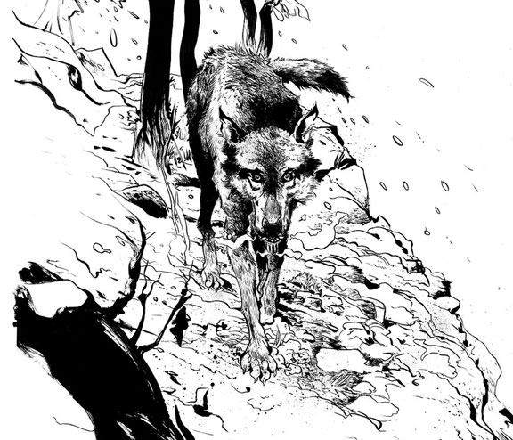 Illustrator Research: Paul Pope