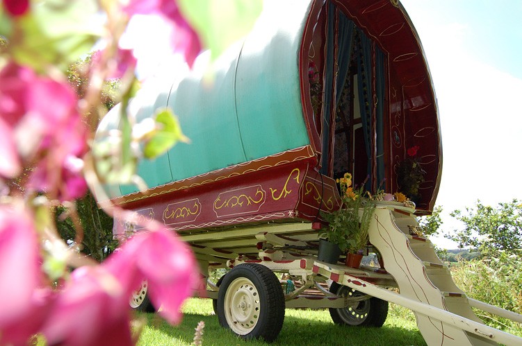 Lovelane Caravans - Hummingbird Card Company