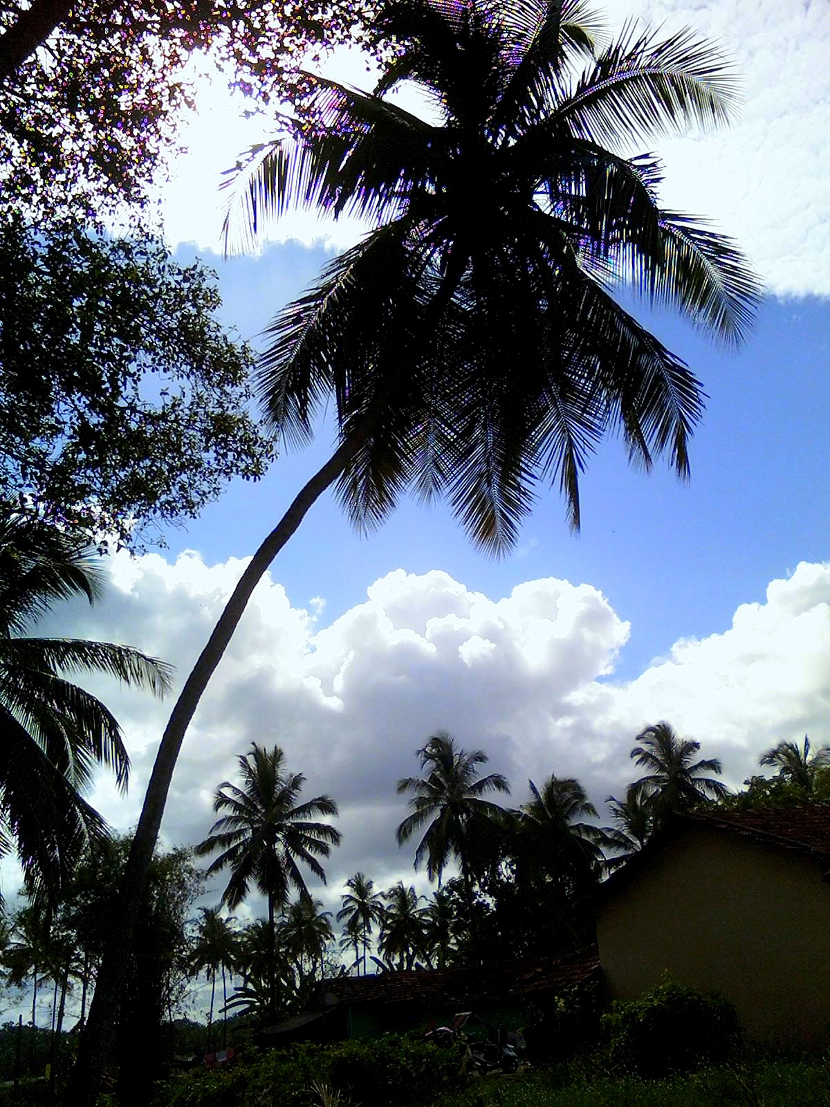 My life Nature Photography: Sunrise in Goa