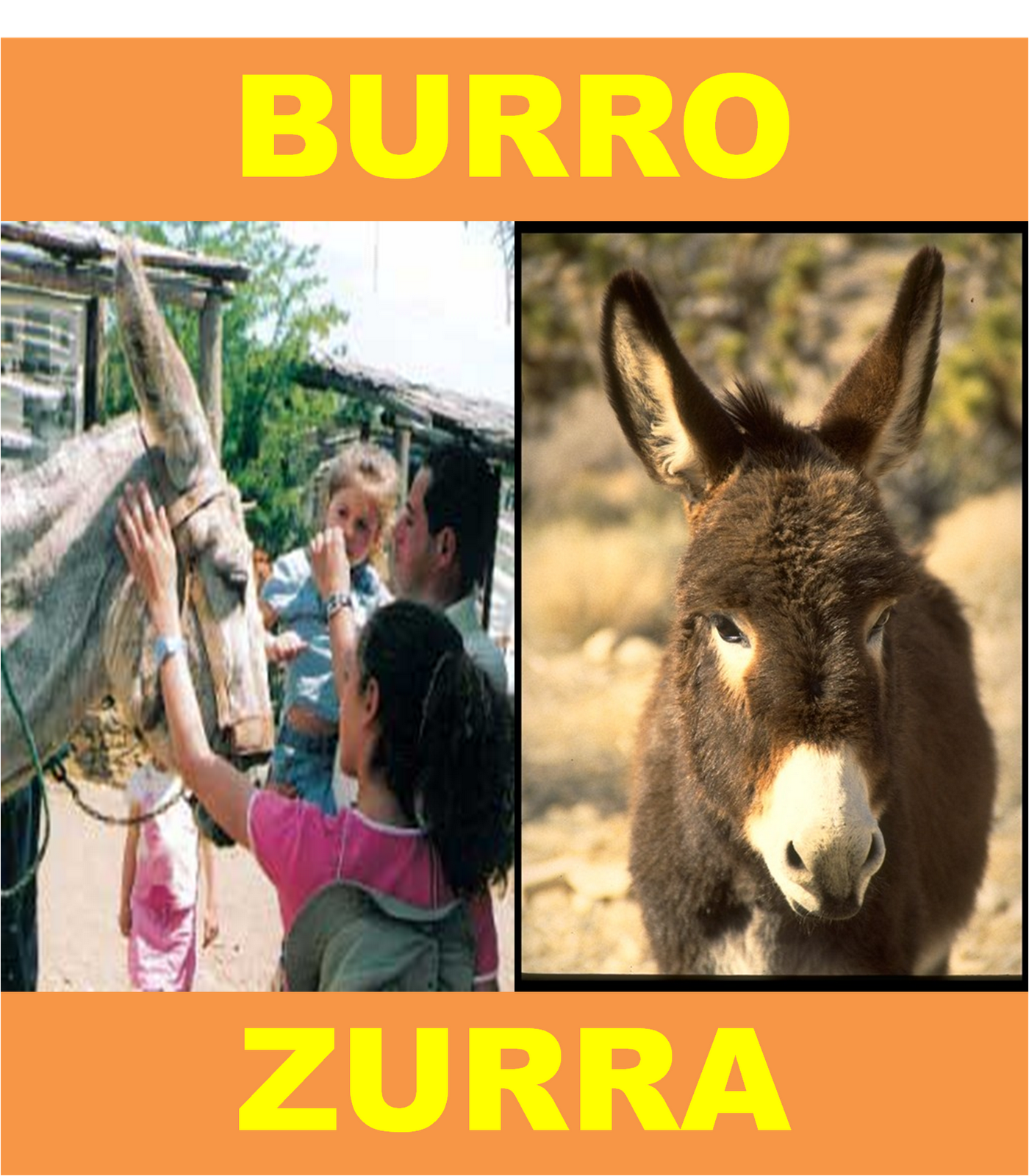 KULTOKULTINHO - AULA DE PORTUGUÊS: GRAMÁTICA