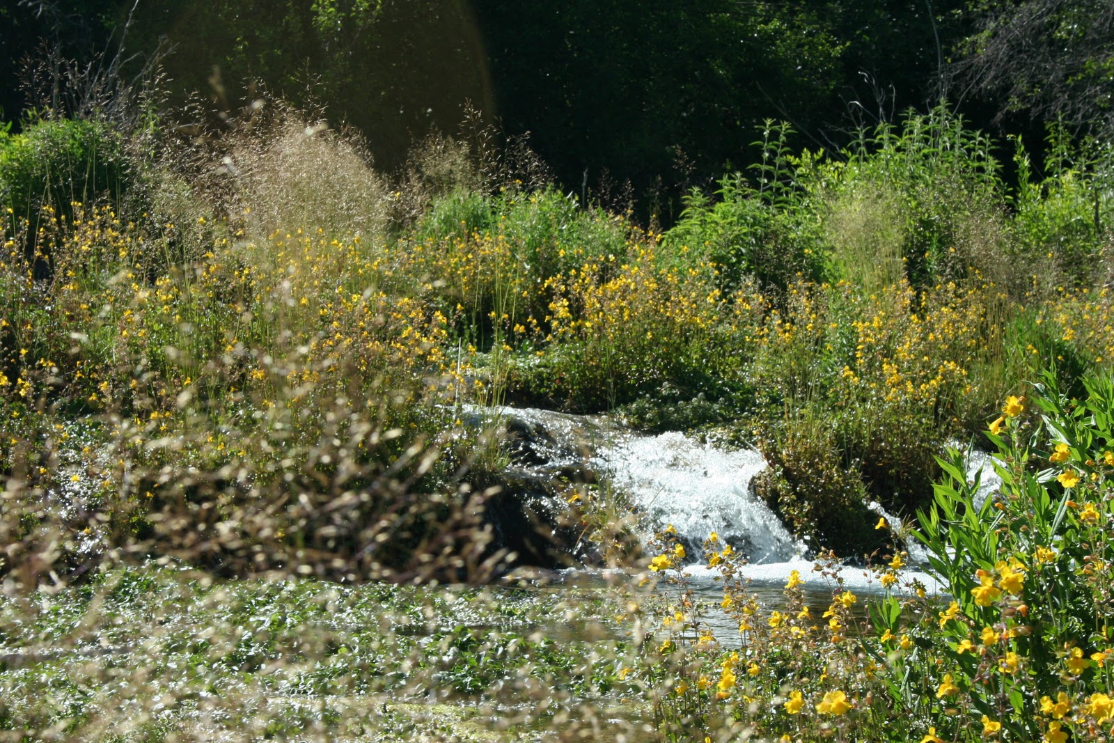 Just to let you know...: Heber City and Cascade Springs