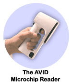 Blue Springs Animal Hospital & Pet Resort: AVID Microchip for your pet