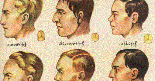 Visajismo: Tipos de Cráneo