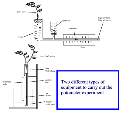 MyBiologyPal: Form 5 Chapter 1 - Transport (Part 4)