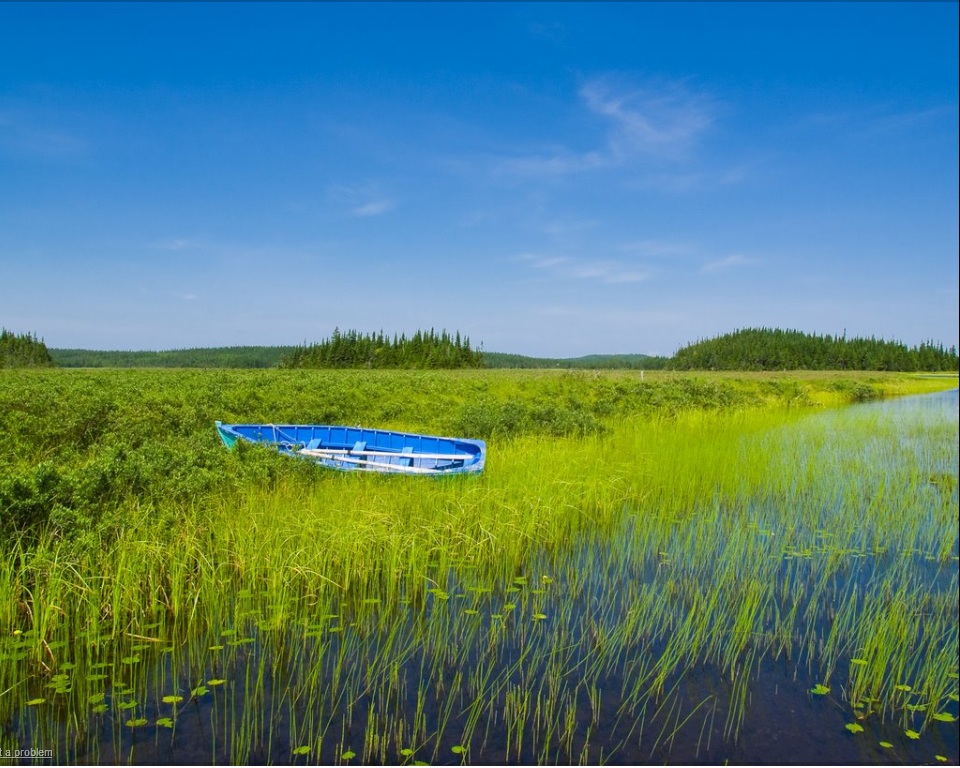 Caleb's Geography Blog: New Found Paradise: Newfoundland