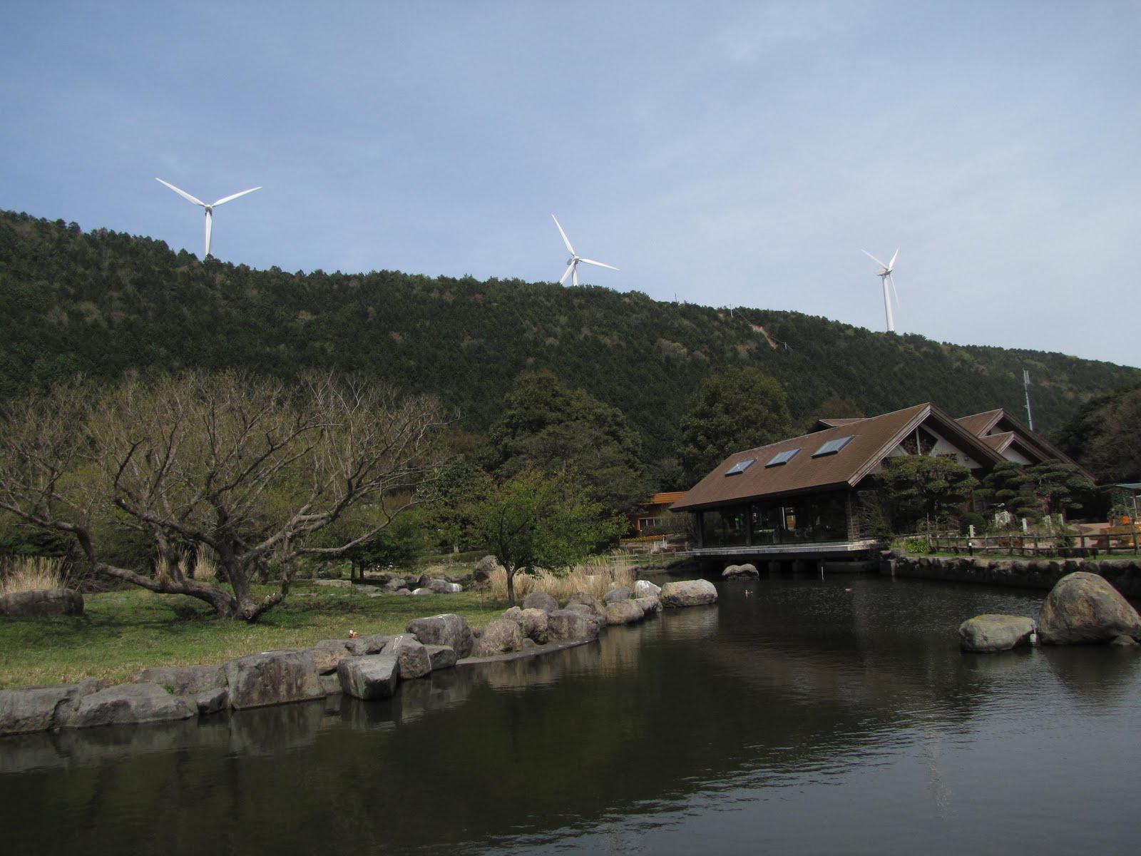 one.year.trip: Japan Roadtrip: Izu Biopark