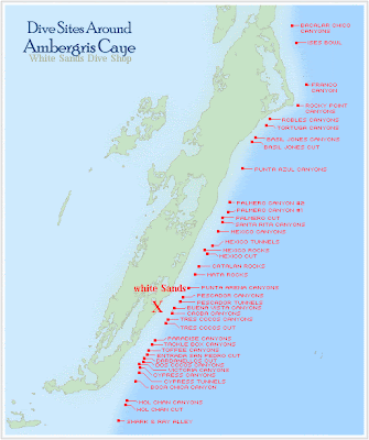 E-Learn to Dive with PADI