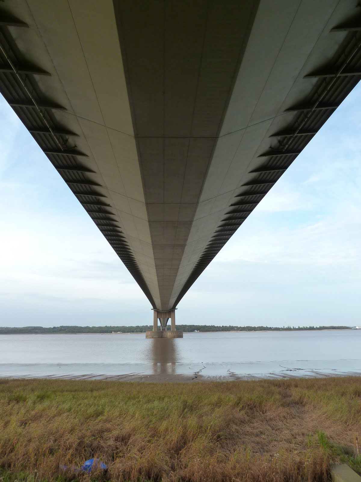 Gecko's Progress: October 2010