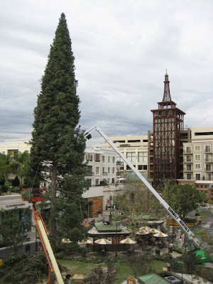 Tropico Station: THE Glendale Blog: Americana Christmas Tree Erected