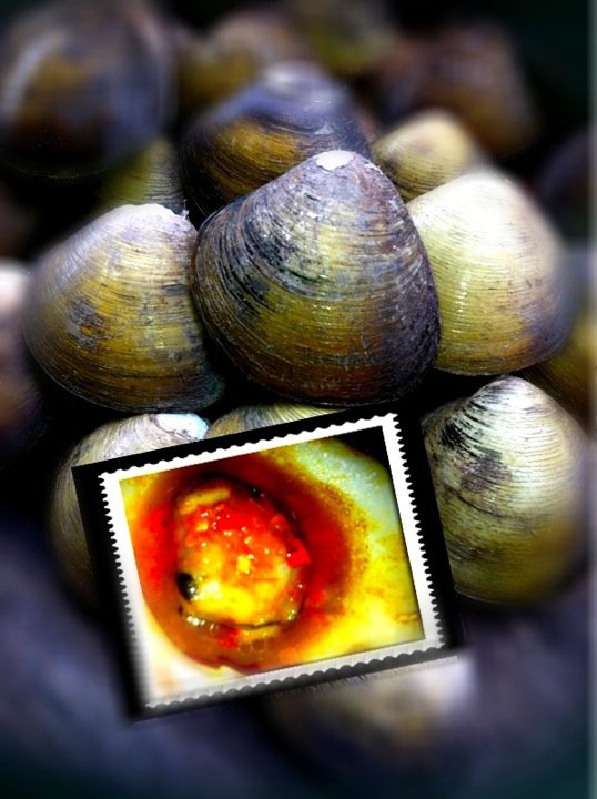 The.Doreen: Lokan . Charcoal Coconut . Coconut Pudding