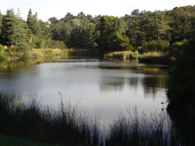 Outdoors Los Angeles: Trail Review - Franklin Canyon Ranch Trail