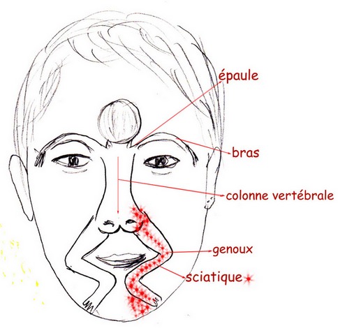 le Dien Cham ou Réflexologie faciale - Peu Beau Bon Bien