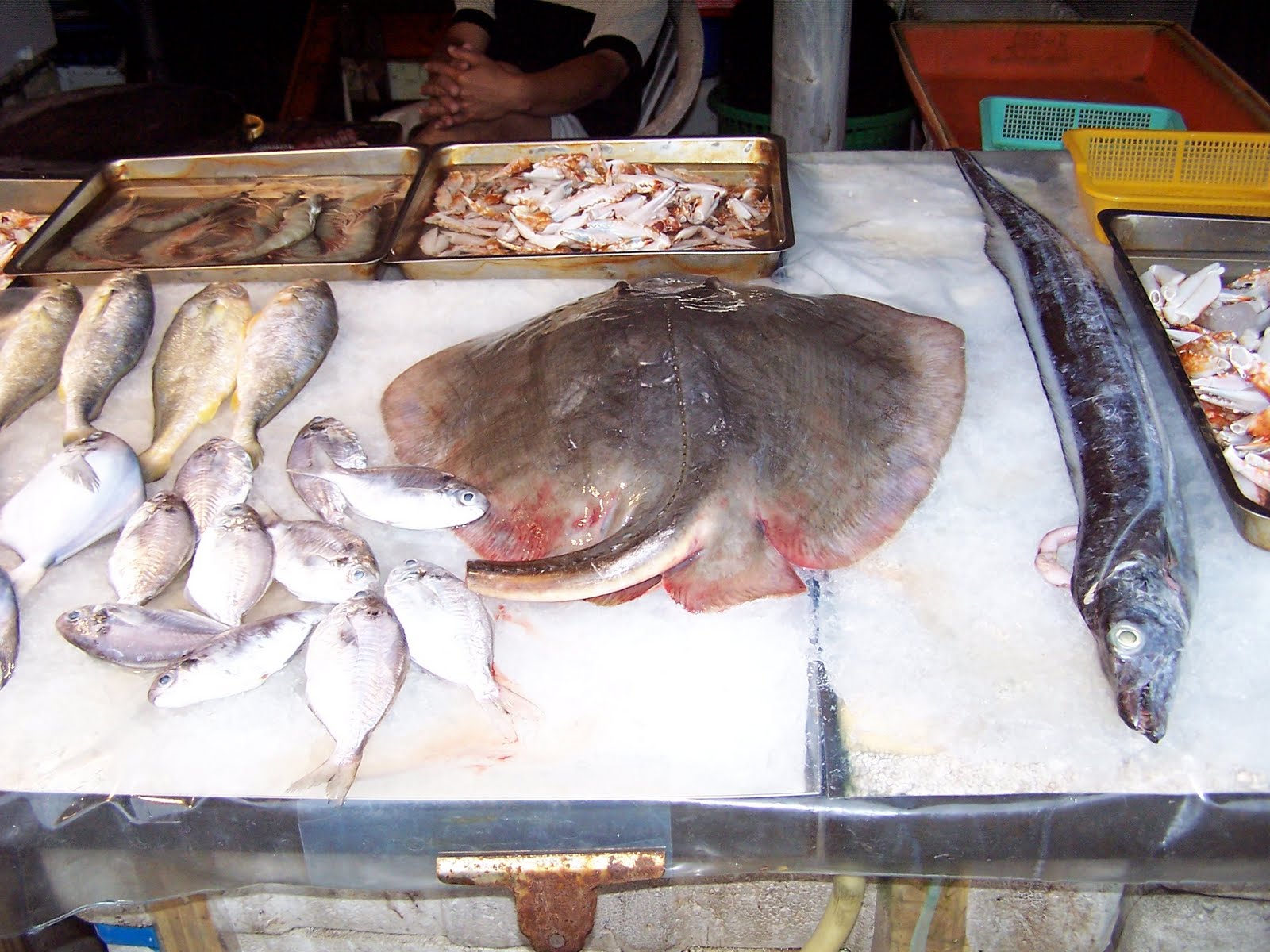 DC in Taiwan - 1st: Tainan - Fish Market