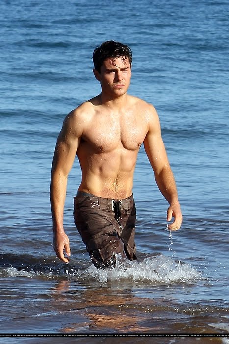 tribdecaben: Zac Efron Vanessa Hudgens Beach