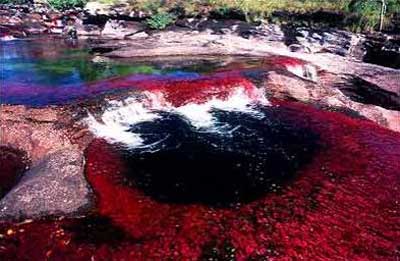 ellergy: THE WORLD'S MOST COLOURFUL RIVER