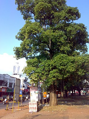 prakash: യക്ഷികളെ കാണാനില്ലല്ലോ?