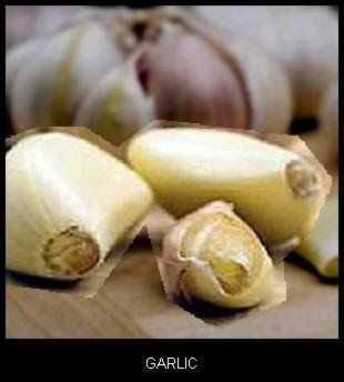 Garlic for Hypertension