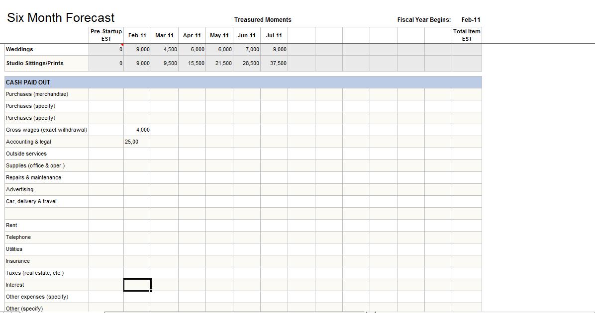 Treasured Moments........: 6 month forecast (rough template)...