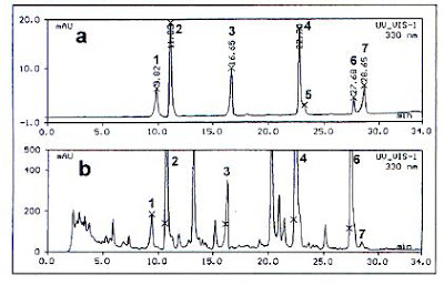 Wahyu Riyadi: Identifikasi signal kromatogram HPLC