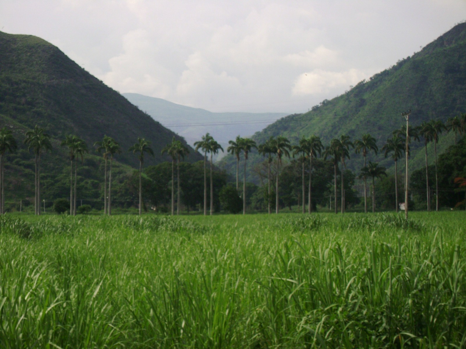 La Hacienda, La unidad de produccion del pasado.: VENEZUELA AGROPECUARIA