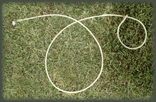 ODYSSEUS TRUNK: The Delmar Smith Wonder Lead