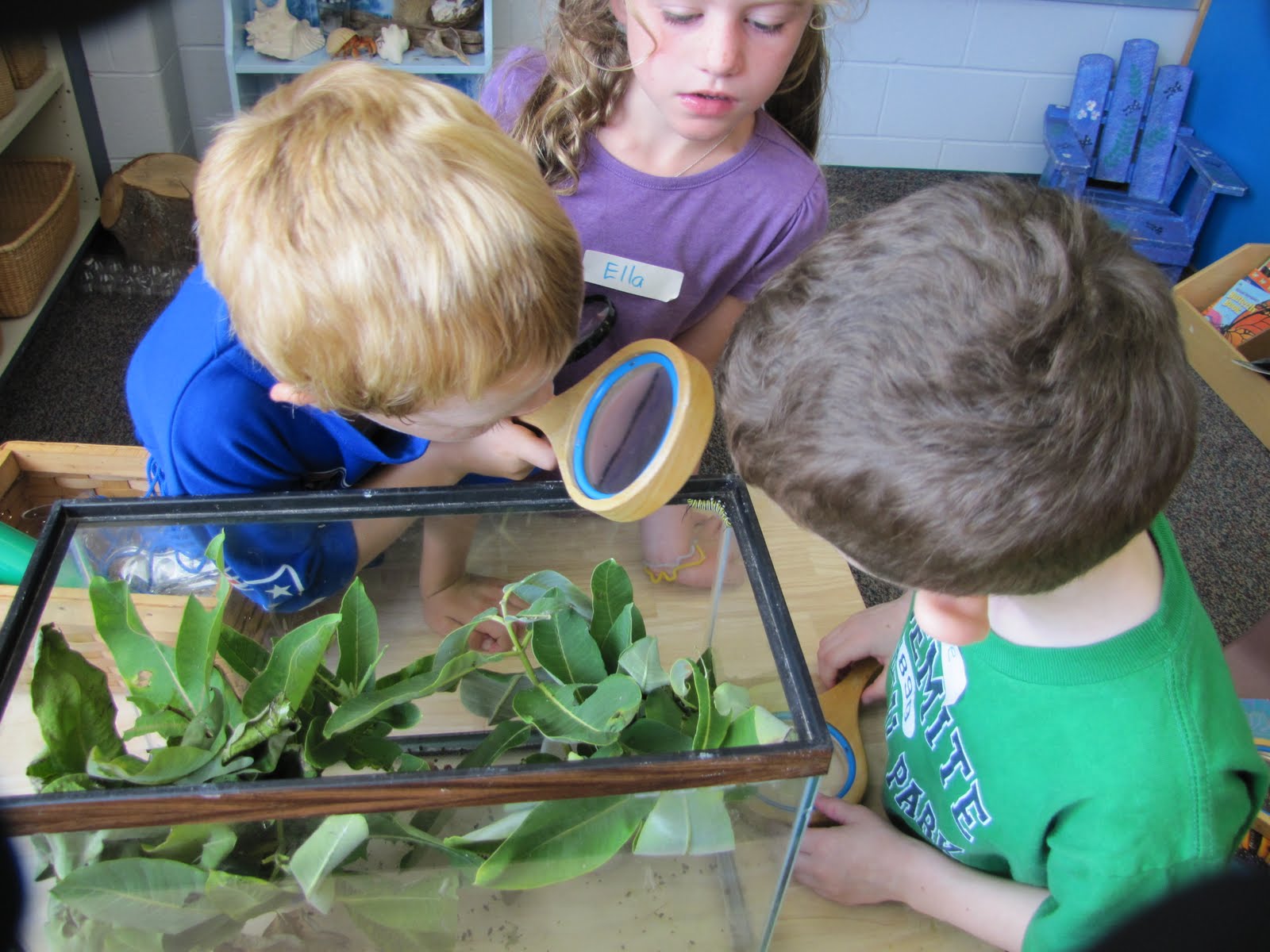 Ms. Mitchell's Kindergarten: Observing, Discovering and Learning