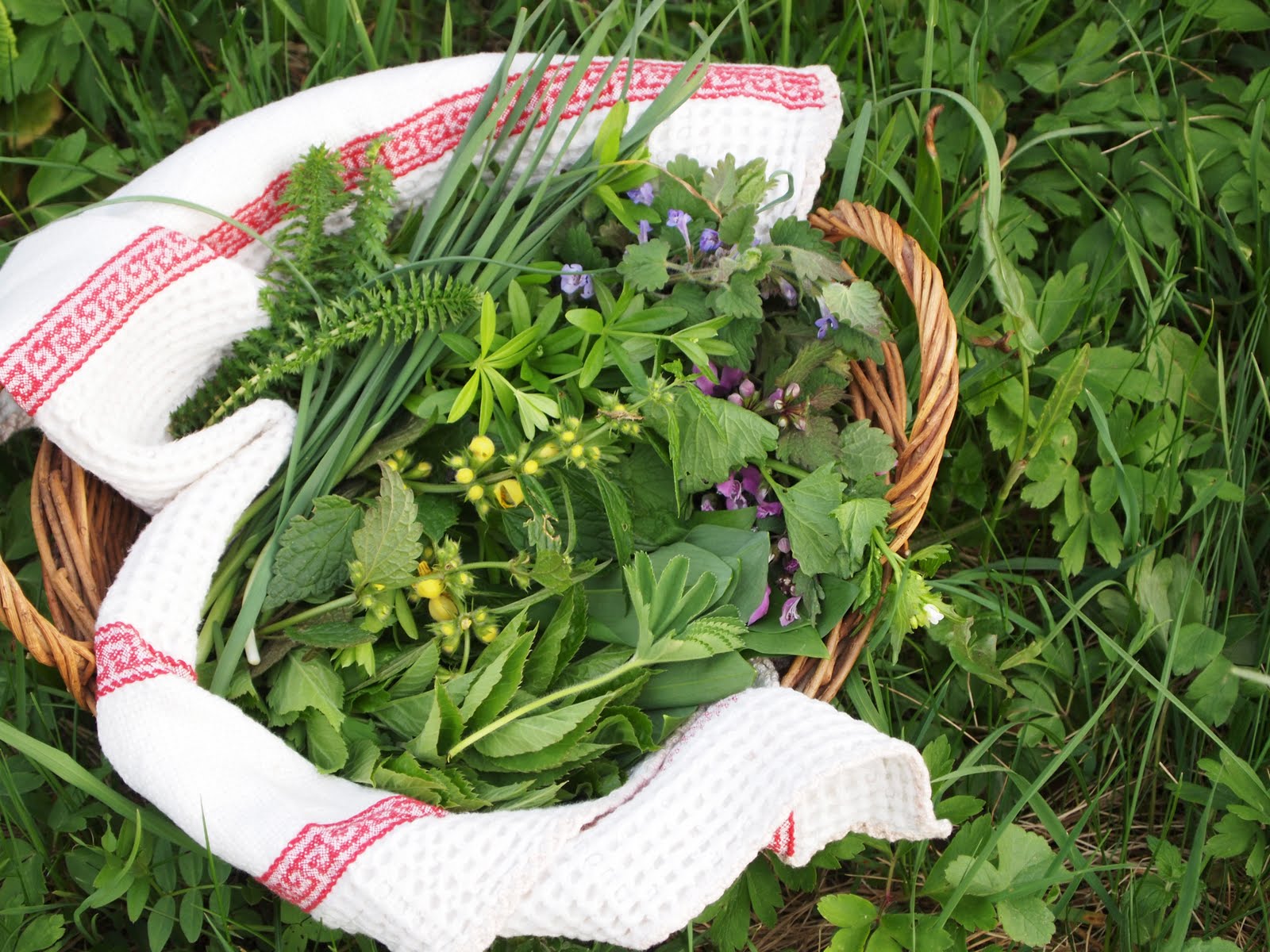 MAY ALL SEASONS BE SWEET TO THEE: Beltane, Wild Herbs, Warm Fire, and ...