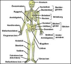 S*Neospride: januari 2011