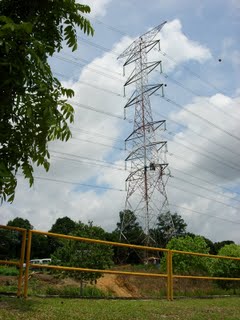 SEQUDIA SDN BHD: TEMPURUNG KELAPA SAWIT