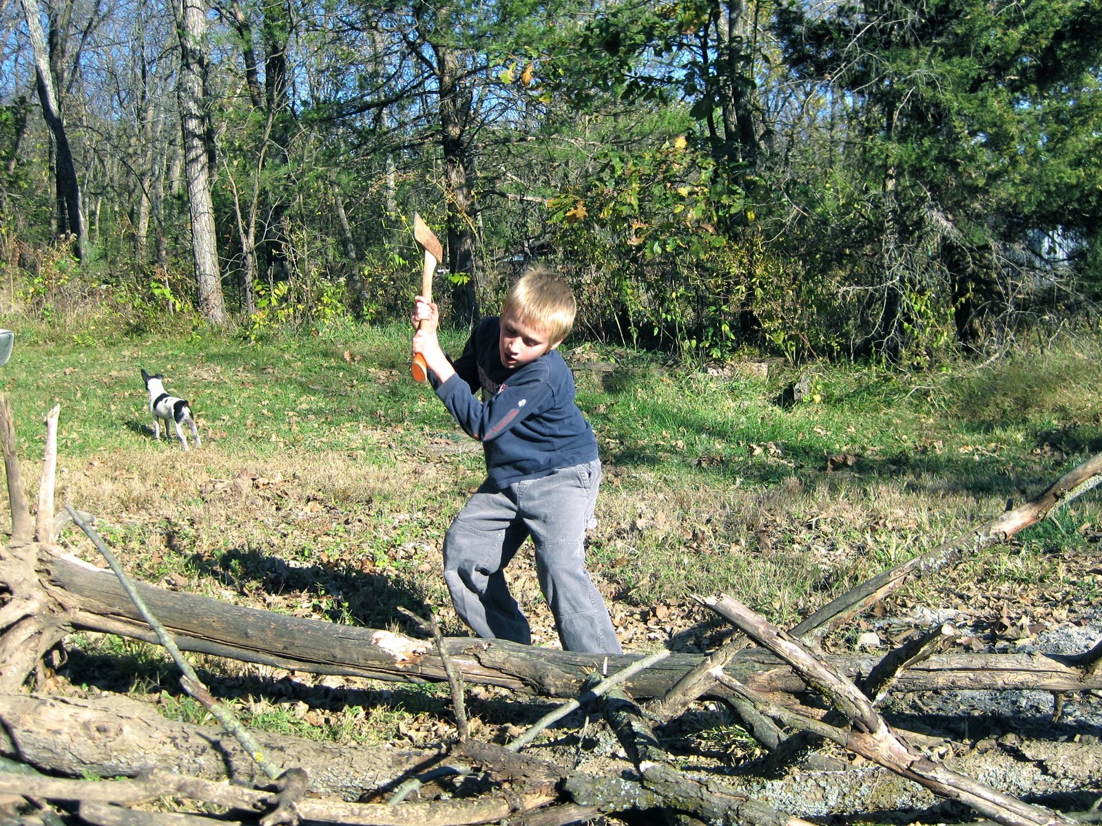 Purple Bear Creations: Hauling and Chopping Wood