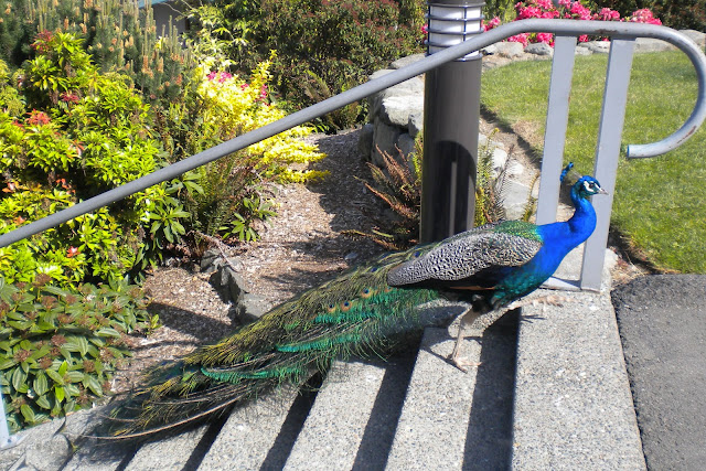 LIFE with LEXIE: All Kinds of Mothers