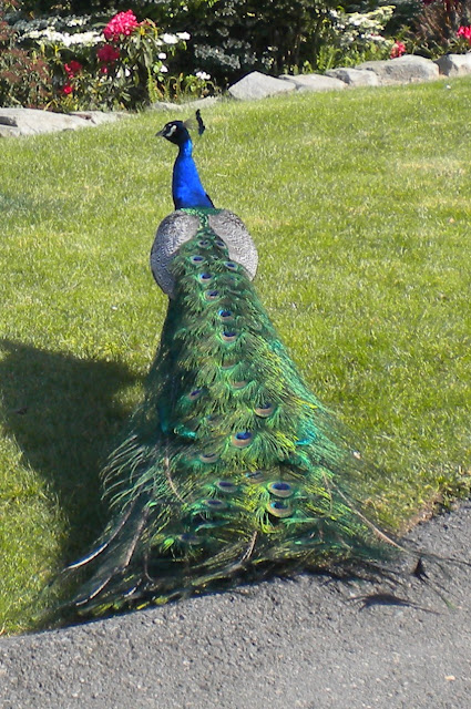 LIFE with LEXIE: All Kinds of Mothers