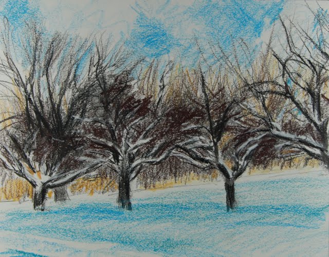 Mark and Remark: Winter Trees
