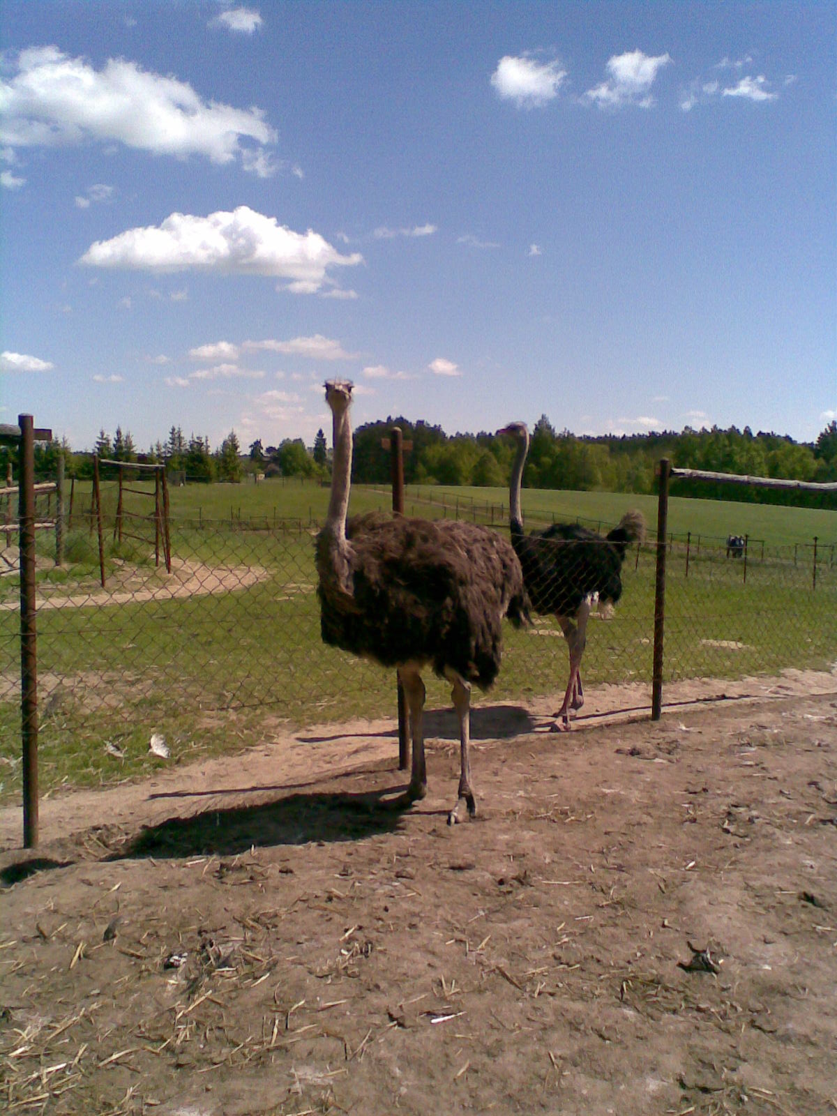 Świetlica Pokoleń. Poznajmy się (Wielki Klińcz): PODRÓŻ SENTYMENTALNA ...