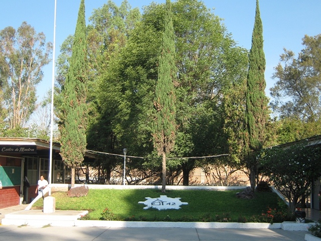 Aventura Escolar: Escuela Secundaria Tecnica n° 42