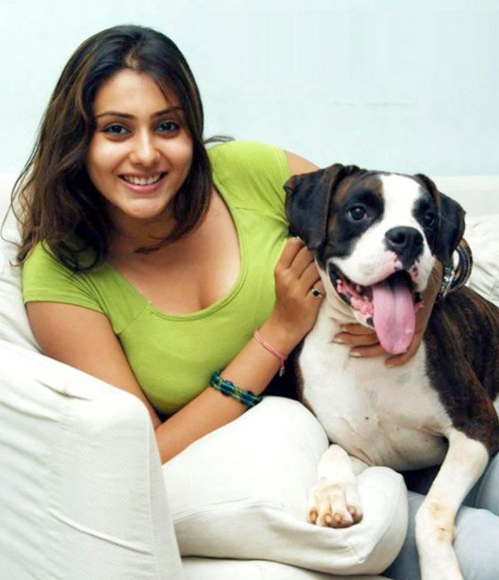 Tattoo Gudang Garam Namitha New Hot Stills tattoo-gudang-garam-namitha-new-hot-stills