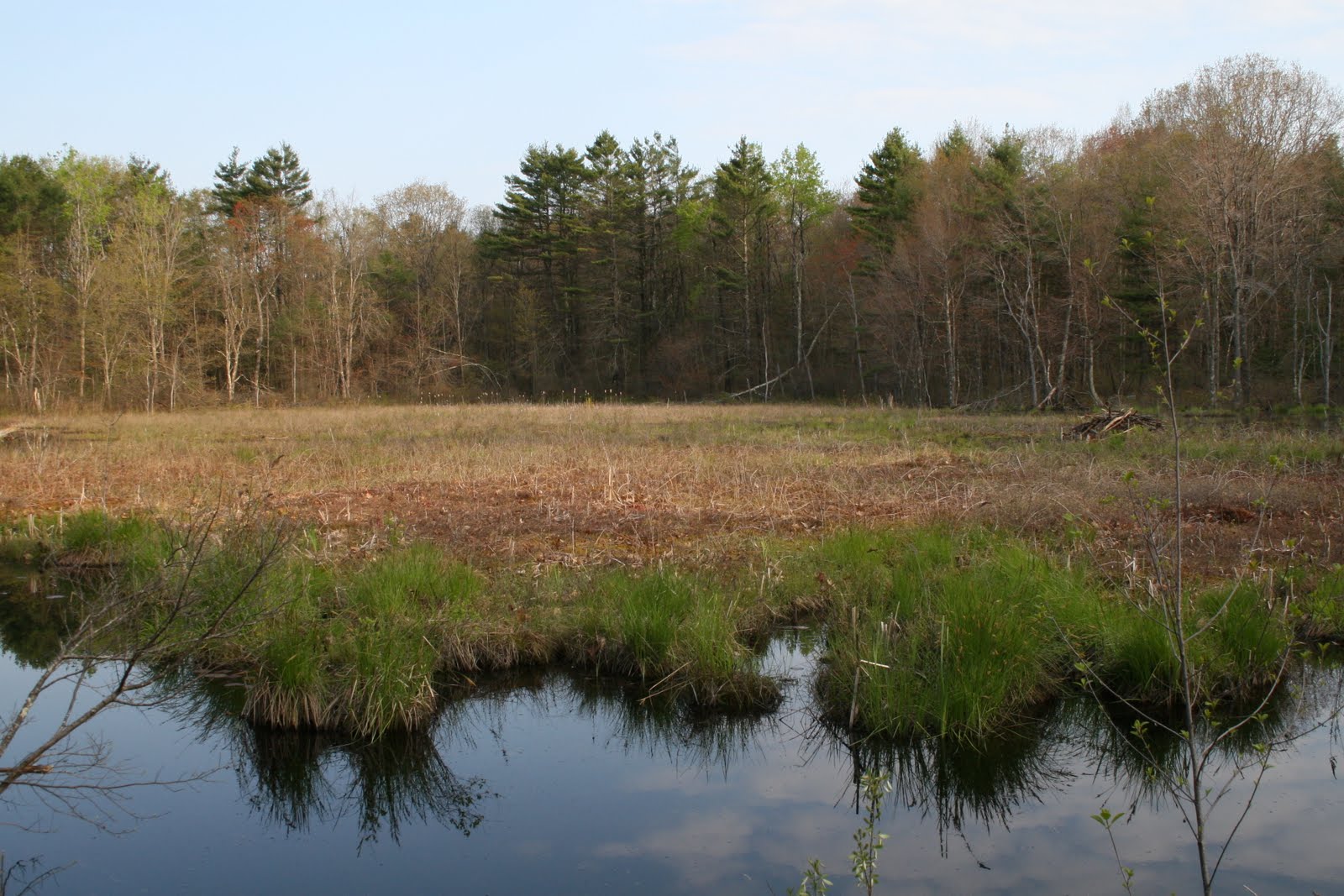 Looking Out from Central Massachusetts: Last Class Trip - Rutland State ...
