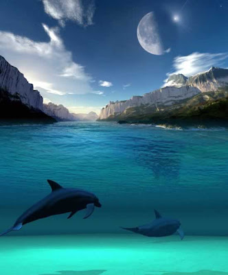Imagenes de paisajes con delfines - Imagui