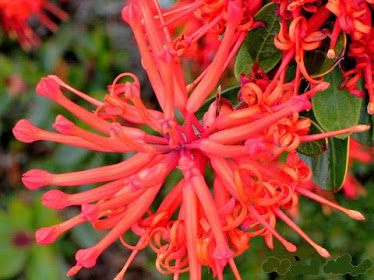 DICHO Y HECHO: Proyectos