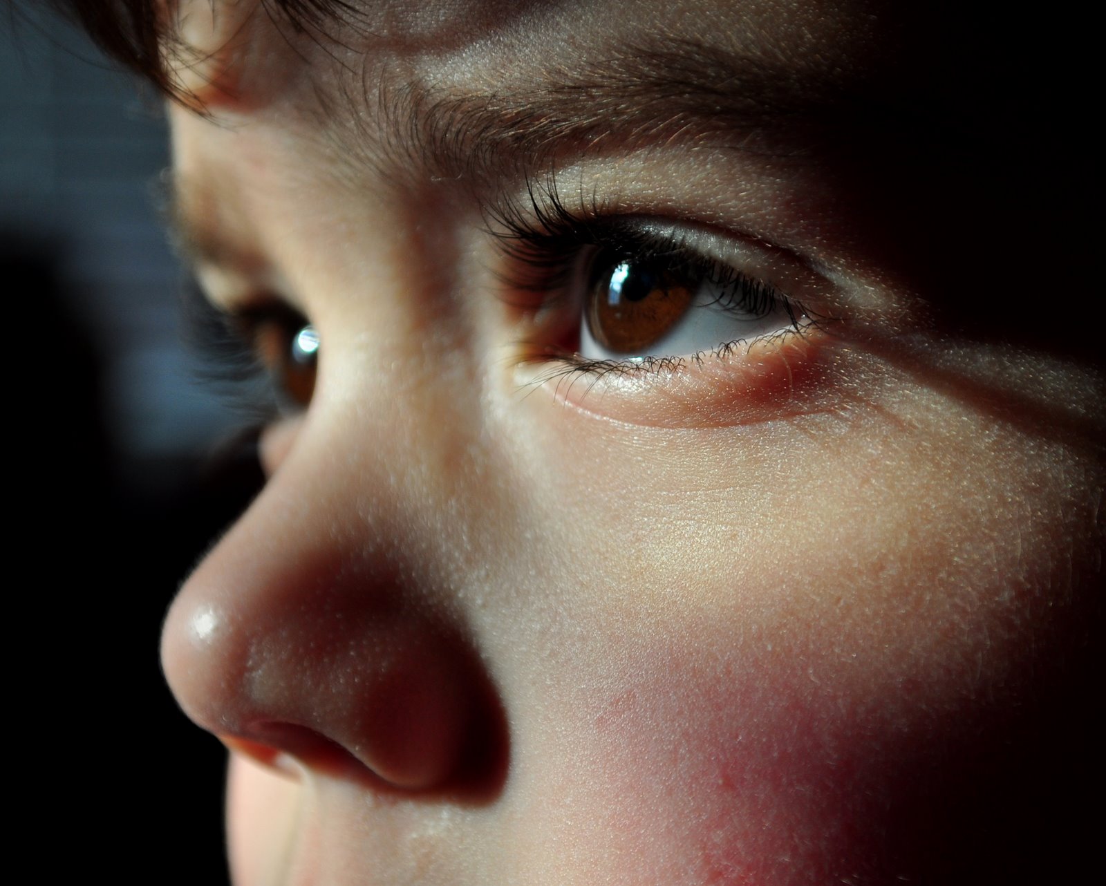 Camelopardalis: Ojos bellos