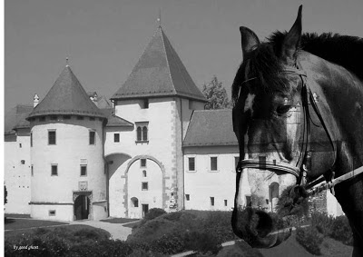 Good Ghost - paranormalno: srpnja 2010