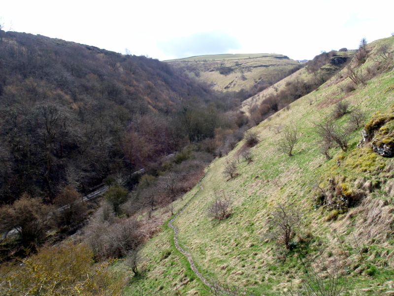 Paul Lydon: A Walk in Coombs Dale