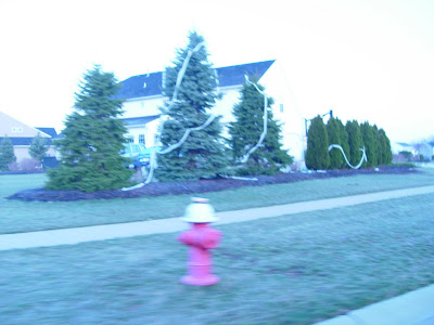 Blackburn Brouhaha: Dancing Toilet Paper