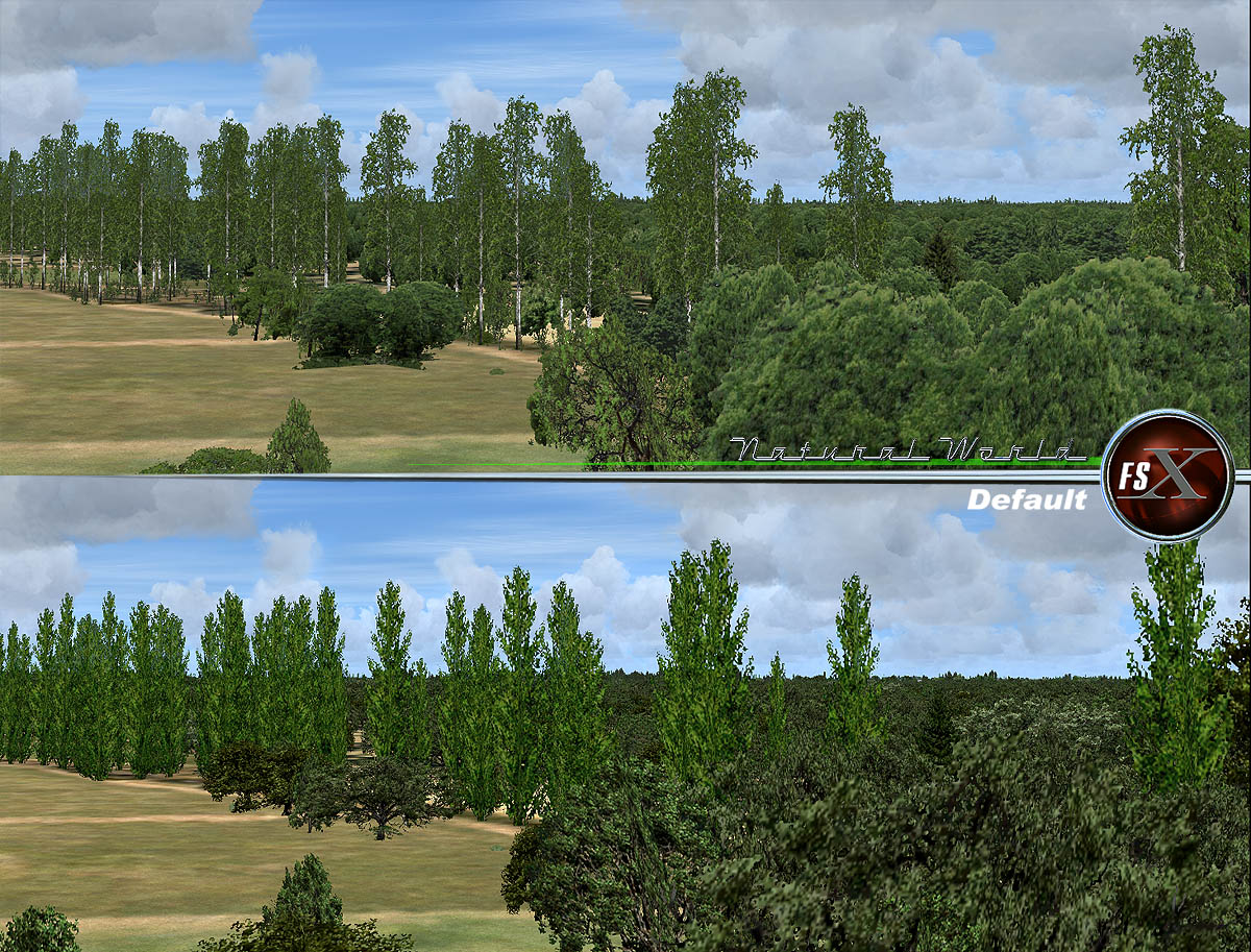 Samoshin Natural World Trees FS 2004 FSX | Flight Simulator Paraguay