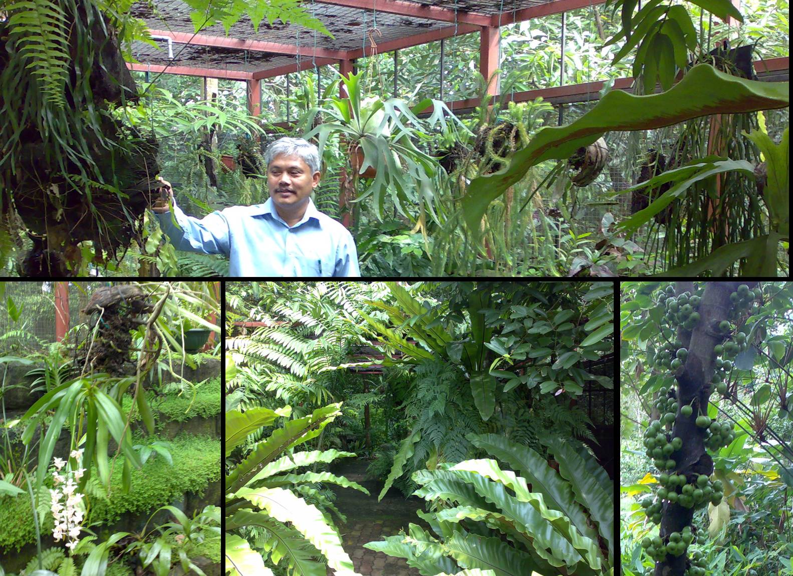 Dr Mat: Plant collection for research, teaching and future references