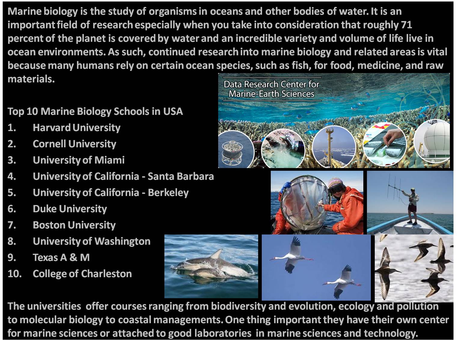 Dr Mat: Marine biology research is constantly making new discoveries ...